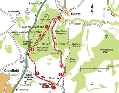 A circuit of Queen Elizabeth Country Park - Bike Rides - The AA