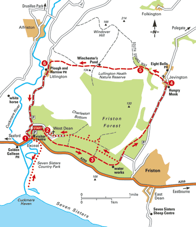 Friston Forest and Cuckmere Haven - Bike Rides - The AA
