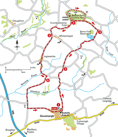 Goosnargh and Beacon Fell Country Park - Bike Rides - The AA