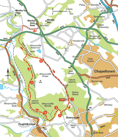 Wharncliffe Woods - Bike Rides - The AA