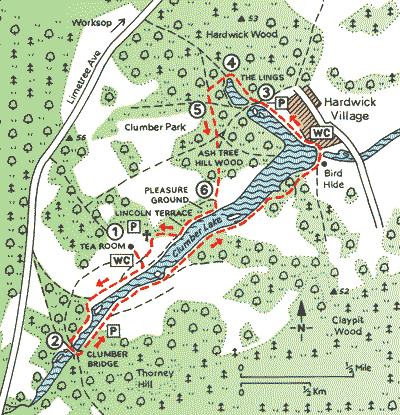 Enjoying Country Life at Clumber - Walks - The AA