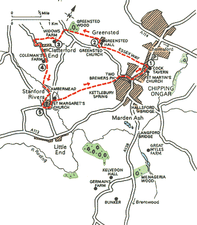The Longer Ongar walk - Walks - The AA