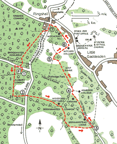 Ashridge Estate Walking Routes Rome Pete's Walks Ashridge Estate