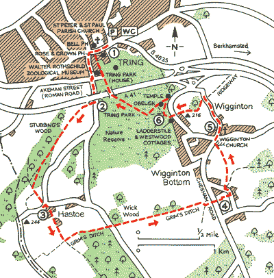 Delights and Surprises in Tring Park - Walks - The AA