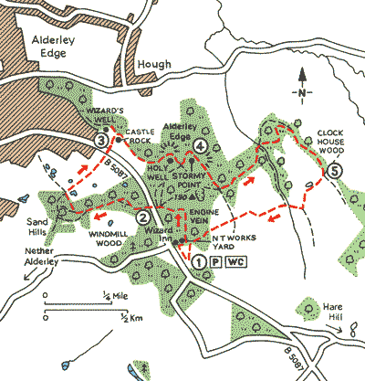 Wizardly Wanderings at Alderley Edge - Walks - The AA