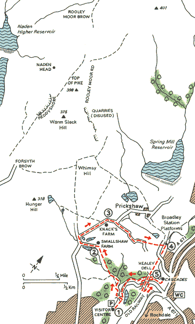 A Hidden Gem: Healey Dell - Walks - The AA