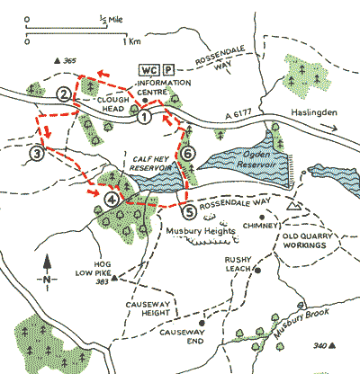Haslingden Grane - Alchetron, The Free Social Encyclopedia