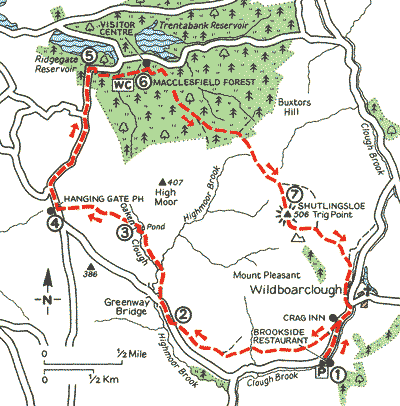 Hunt for Wild Boar in Macclesfield Forest - Walks - The AA