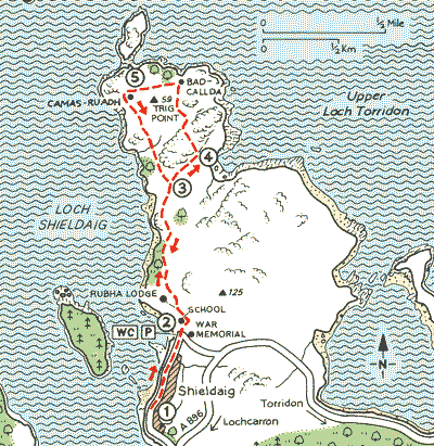 The Shores of Loch Shieldaig - Walks - The AA