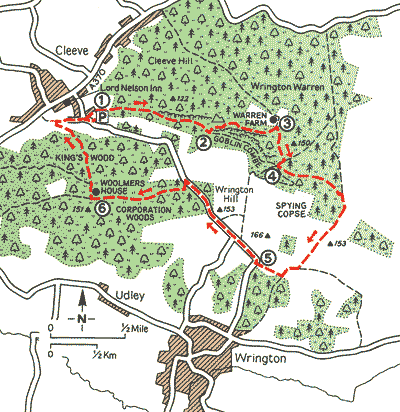 Goblin Combe and Corporation Woods - Walks - The AA