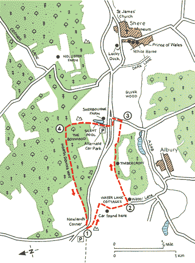 The Mysterious Affair at Newlands Corner - Walks - The AA