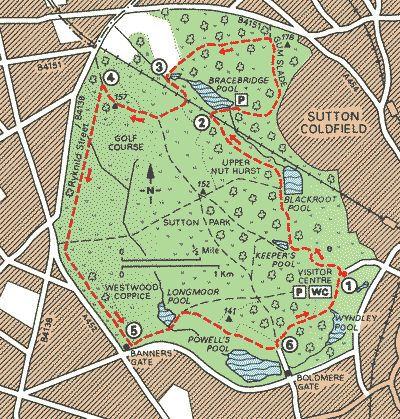 Where the Wild Things Are - a Sutton Park Experience - Walks - The AA