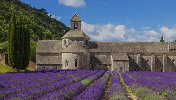 Breakdown Cover | Roadside Assistance & Car Recovery | AA